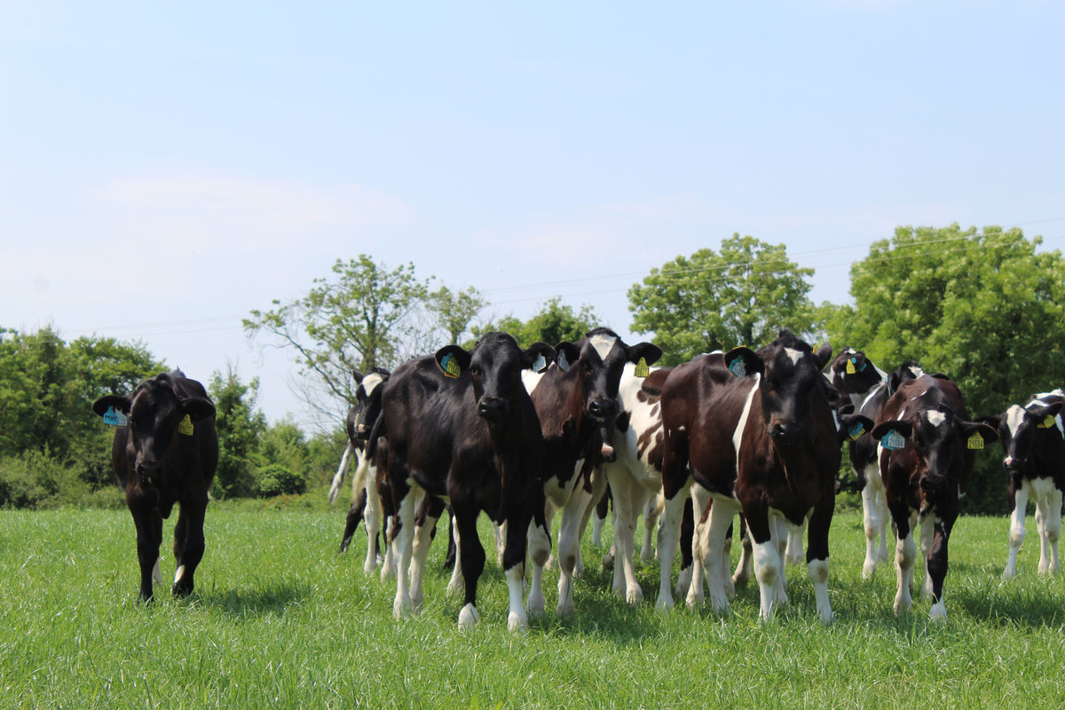 WWS Tech Talk Series – WWS Ireland