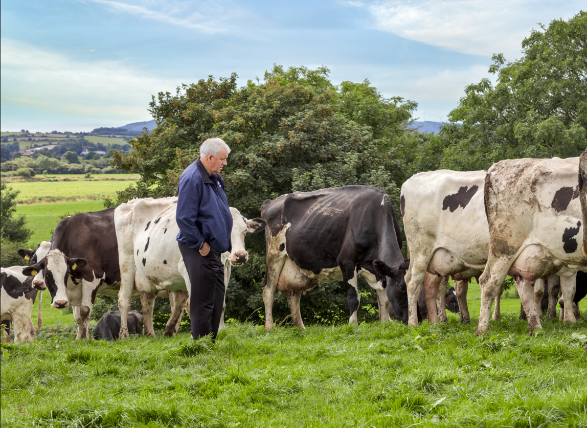 UNDERSTANDING HAPLOTYPES AND RECESSIVES – WWS Ireland