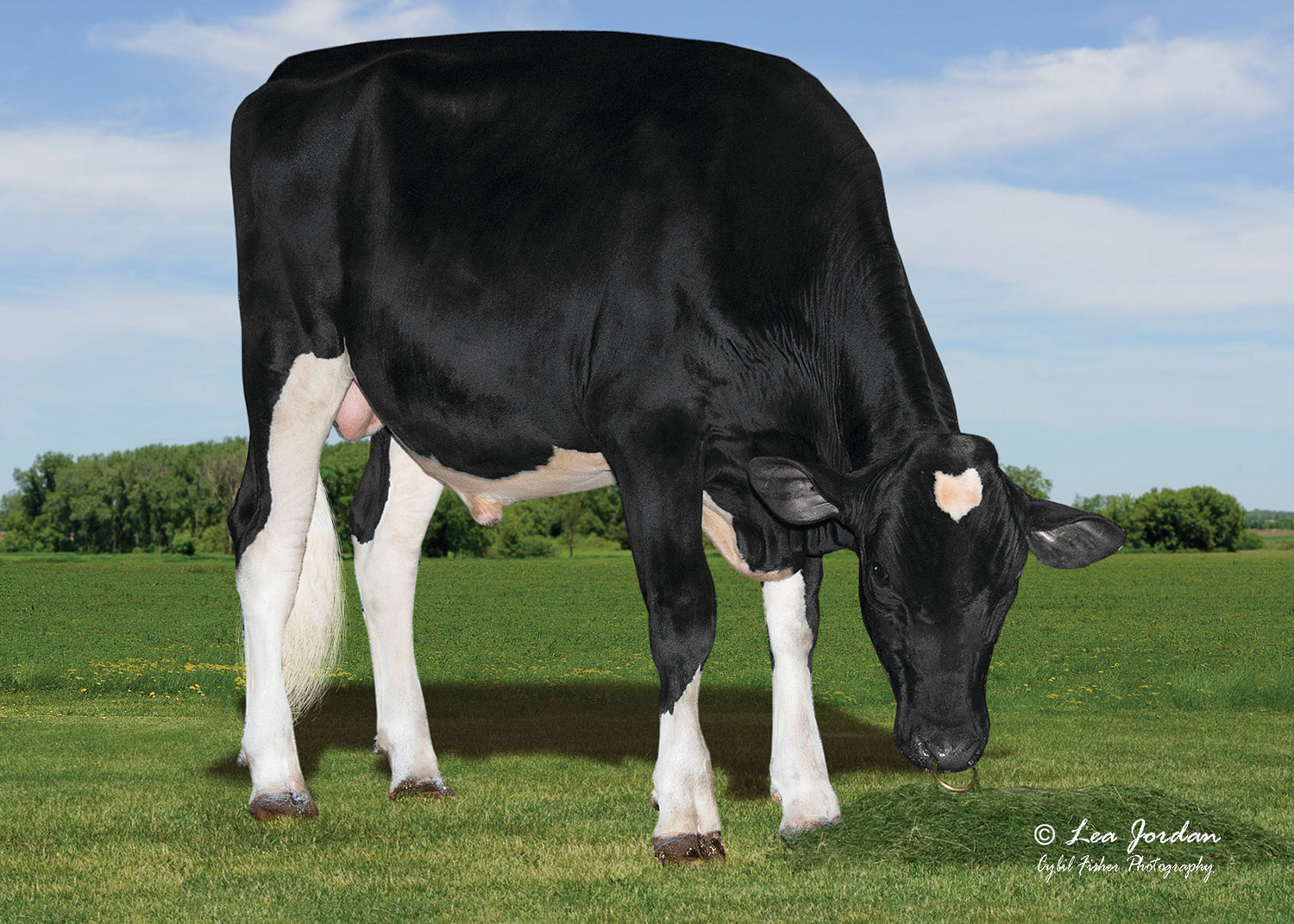 WWS Ireland – WWS Ireland