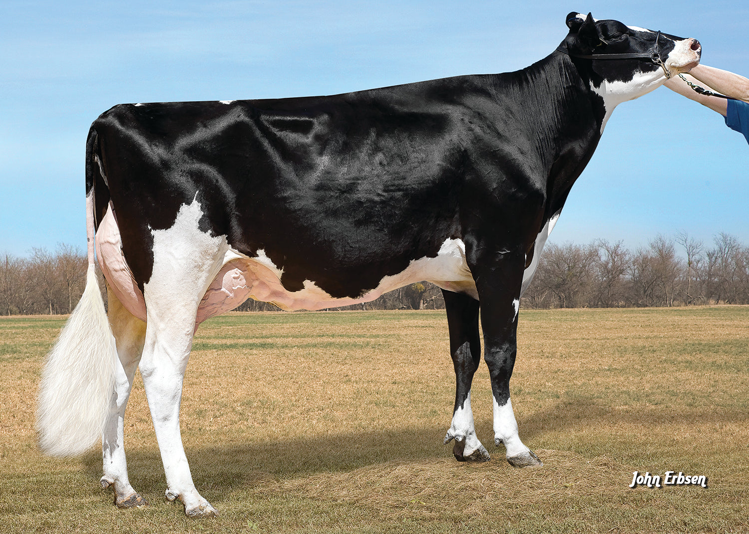 WWS Ireland – WWS Ireland