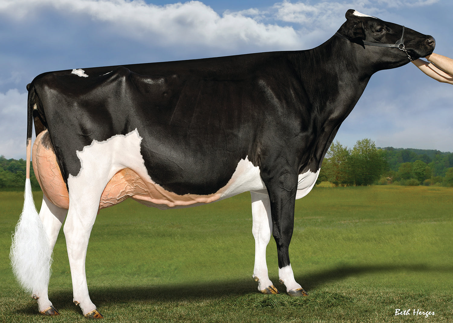 WWS Ireland – WWS Ireland