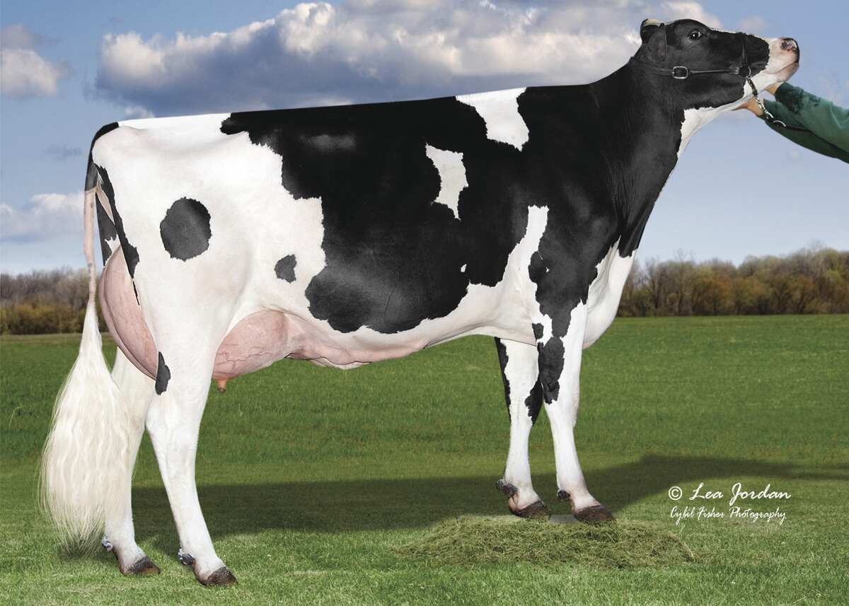 WWS Ireland – WWS Ireland