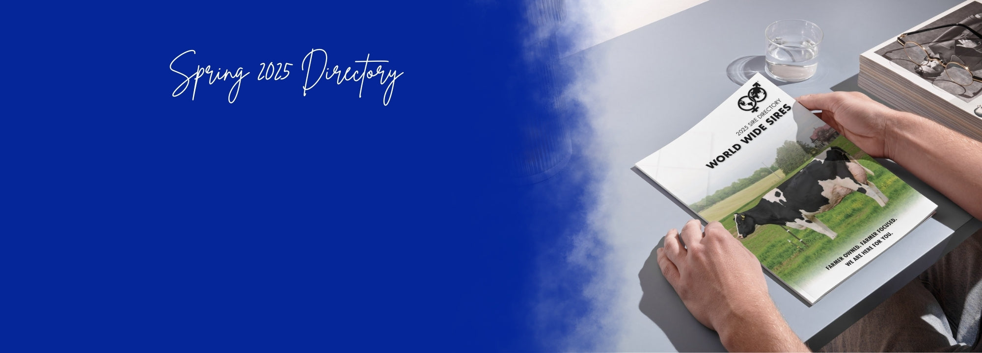 WWS Ireland – WWS Ireland