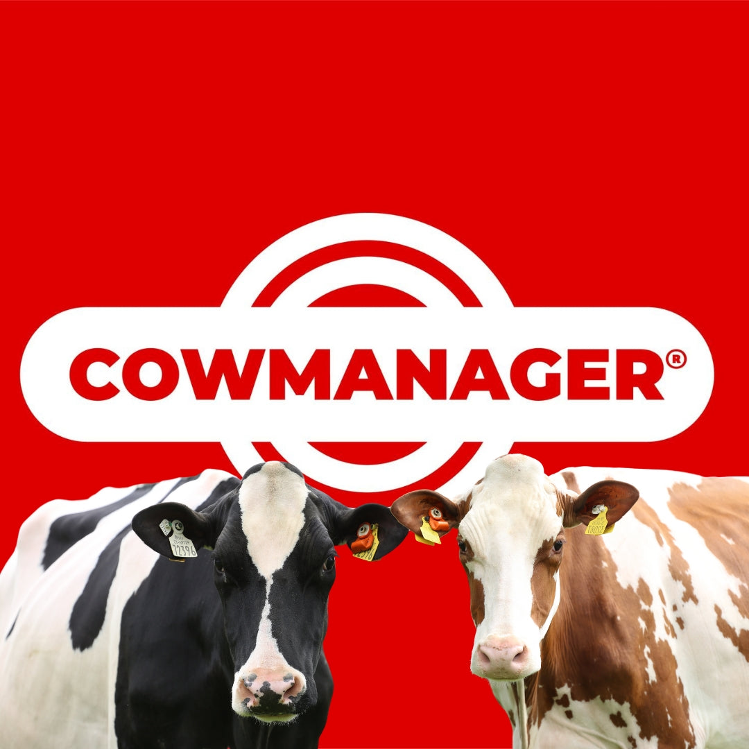 WWS Ireland – WWS Ireland