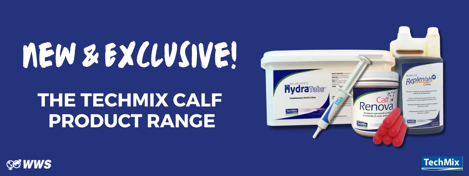 WWS Ireland – WWS Ireland