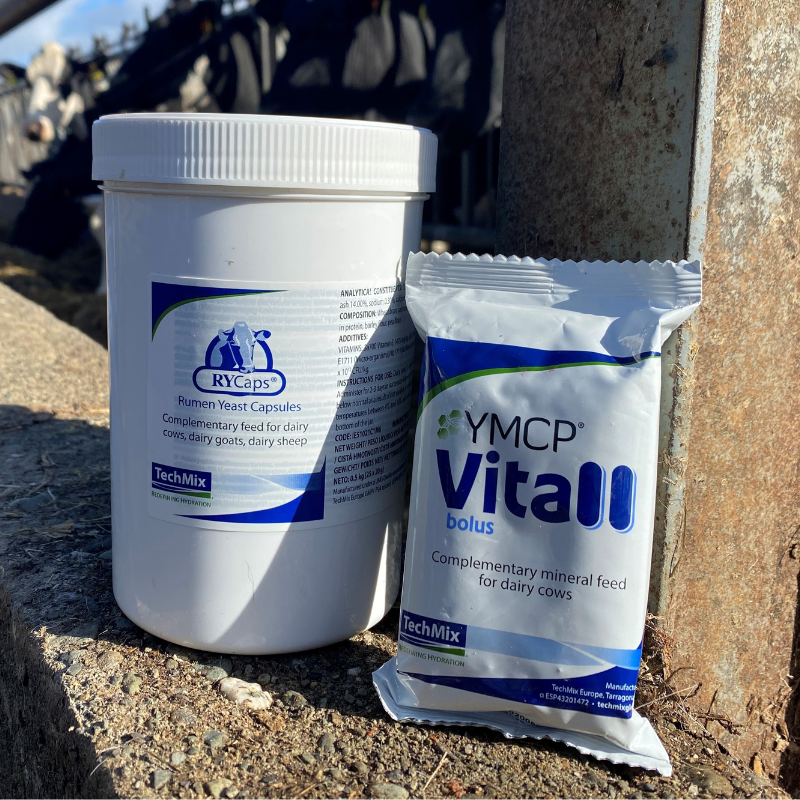 WWS Ireland – WWS Ireland