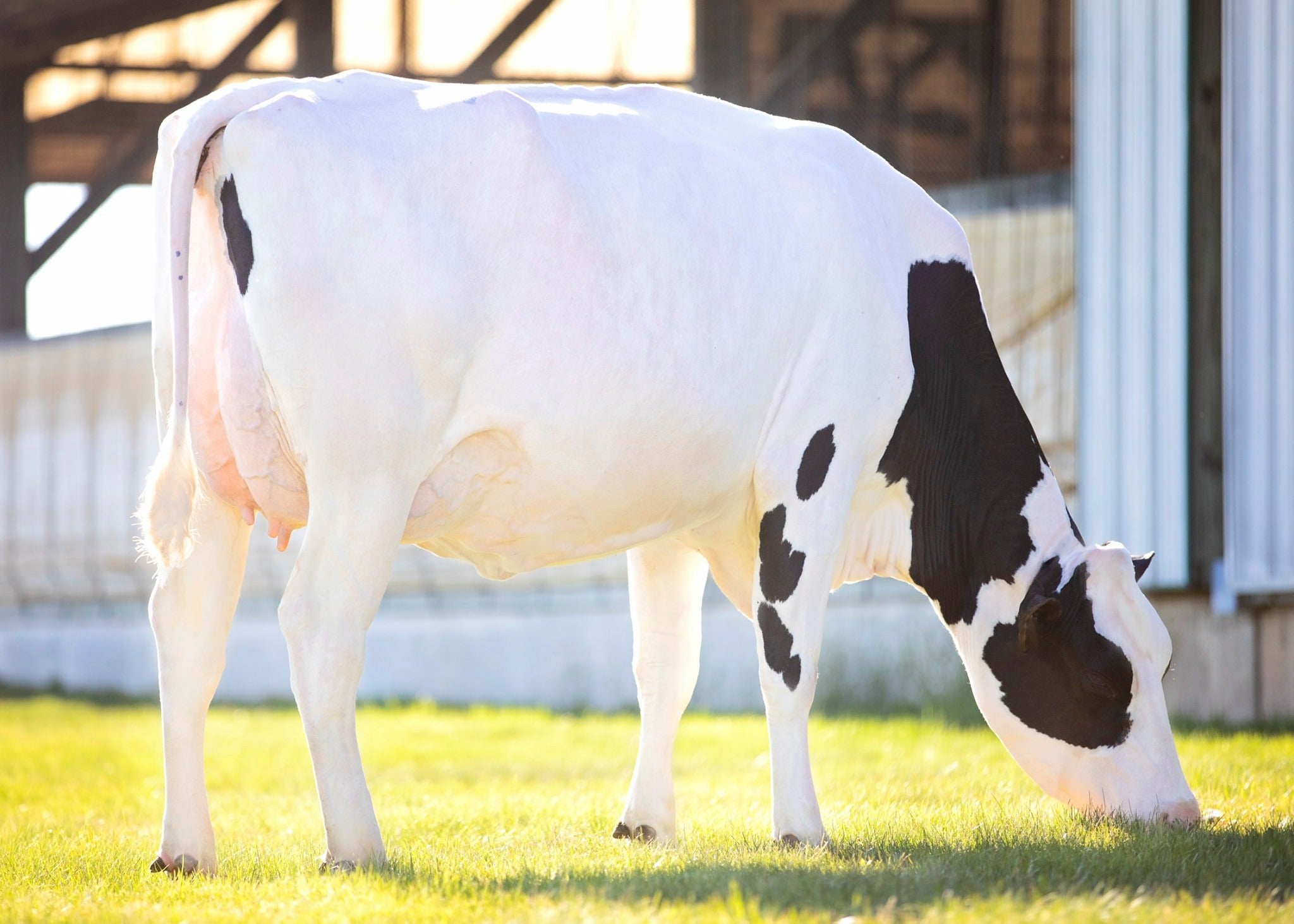 WWS Ireland – WWS Ireland