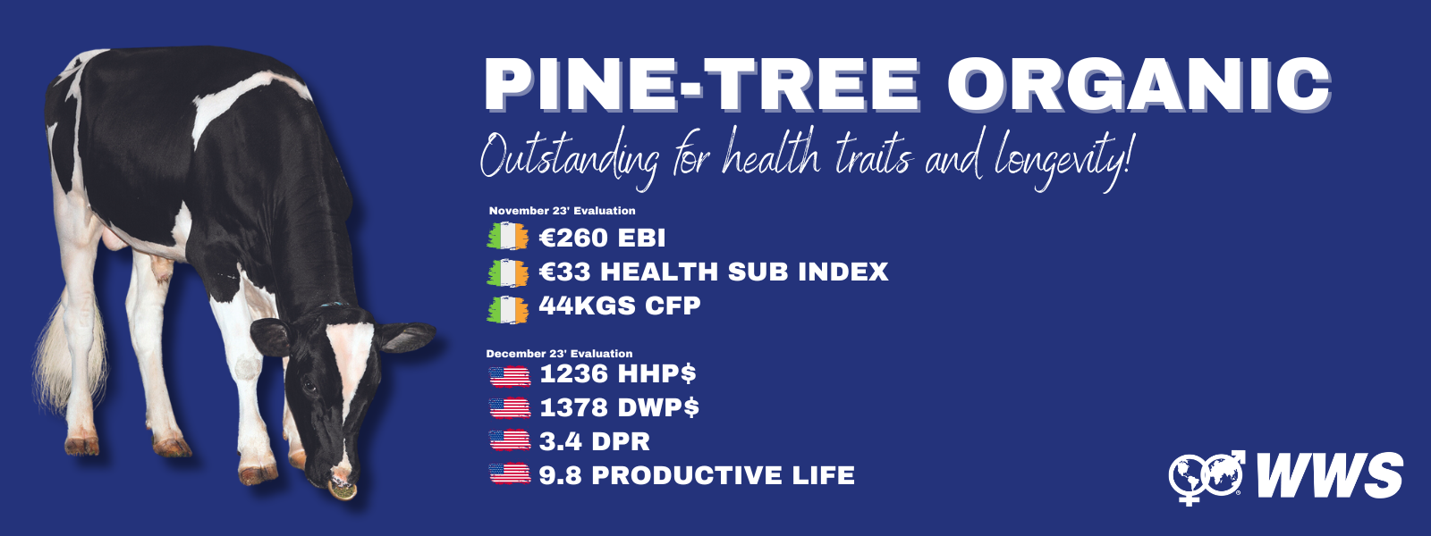 WWS Ireland – WWS Ireland