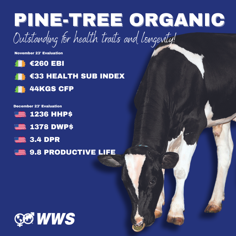 WWS Ireland – WWS Ireland