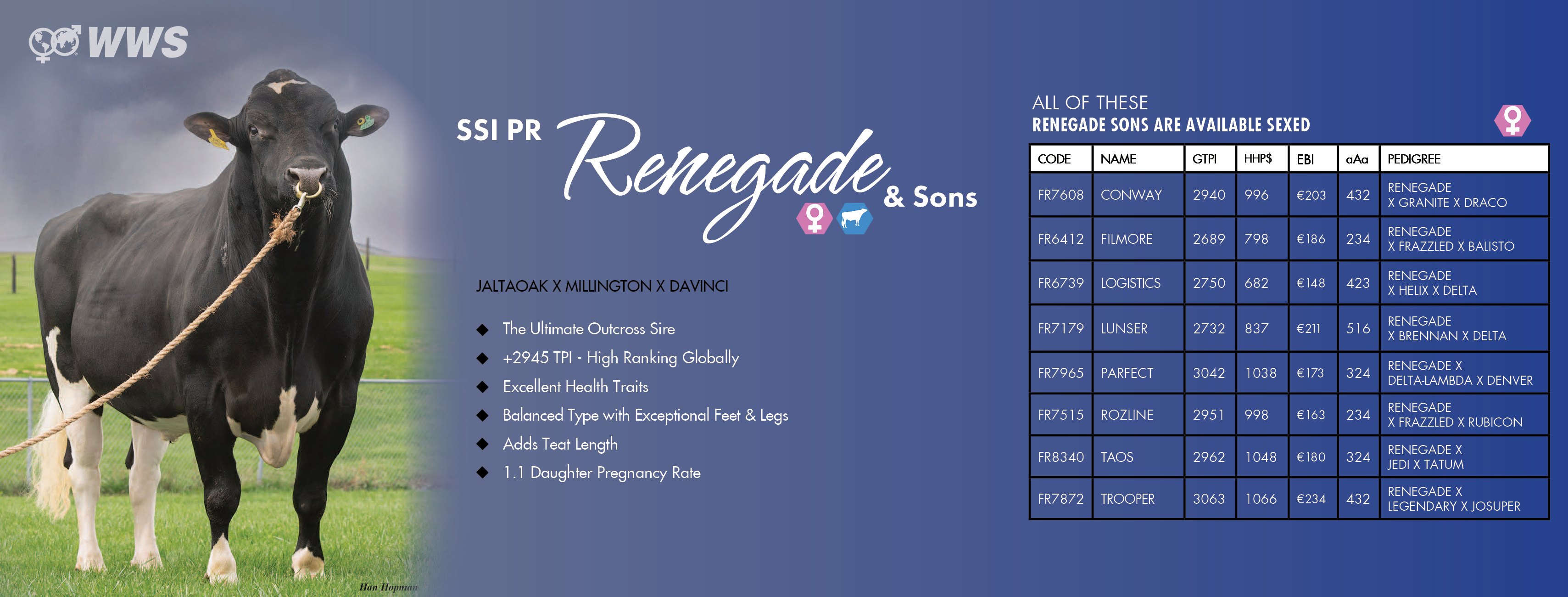 WWS Ireland – WWS Ireland