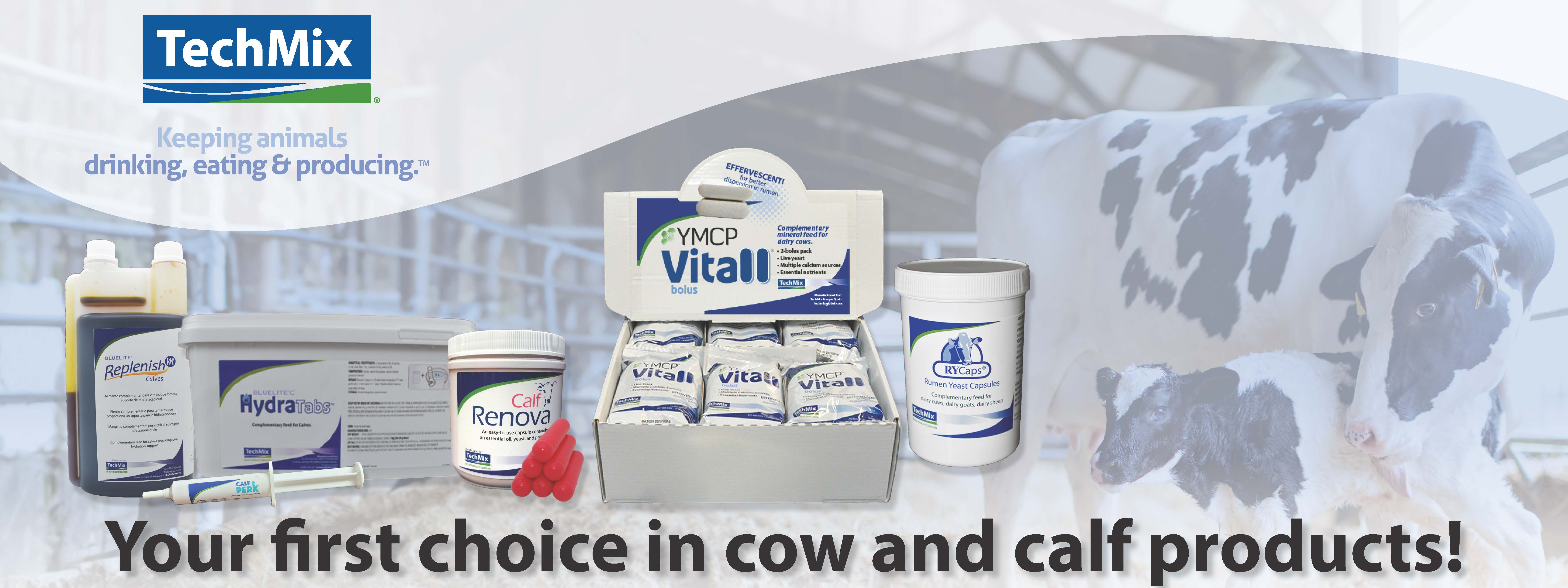 WWS Ireland – WWS Ireland