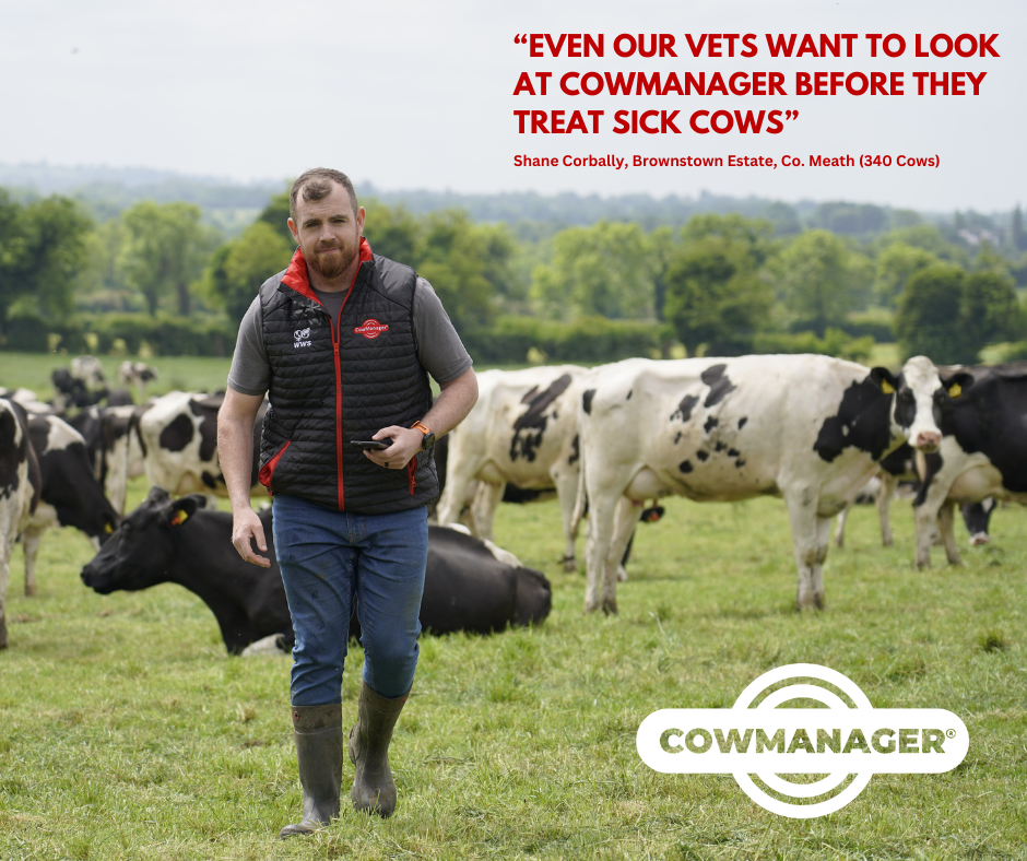 WWS Ireland – WWS Ireland