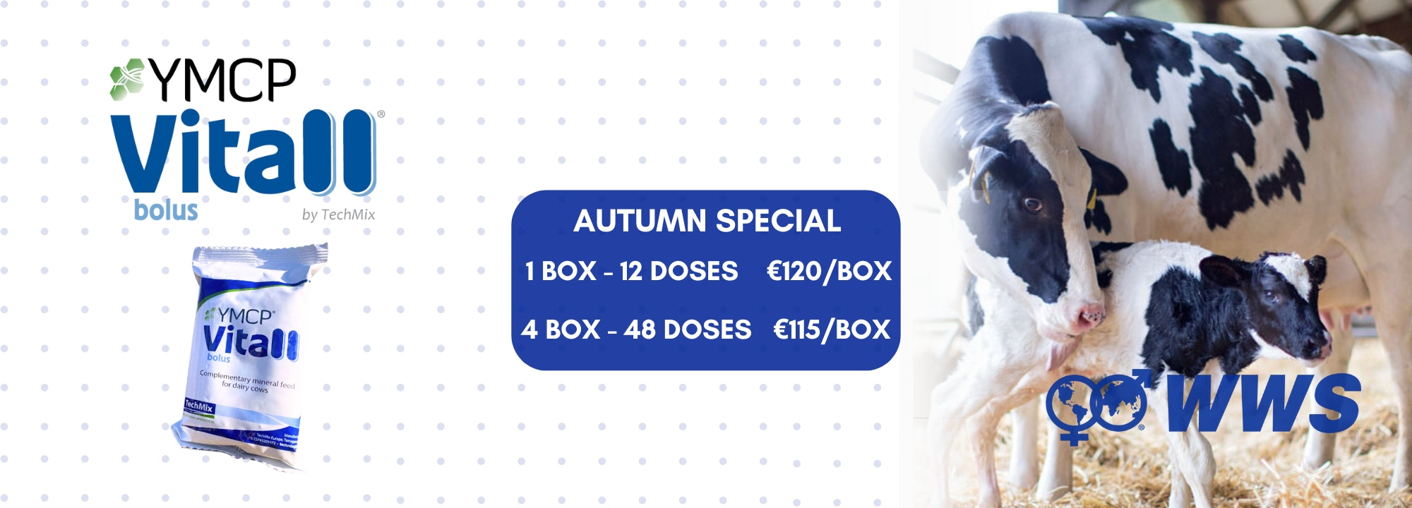 WWS Ireland – WWS Ireland