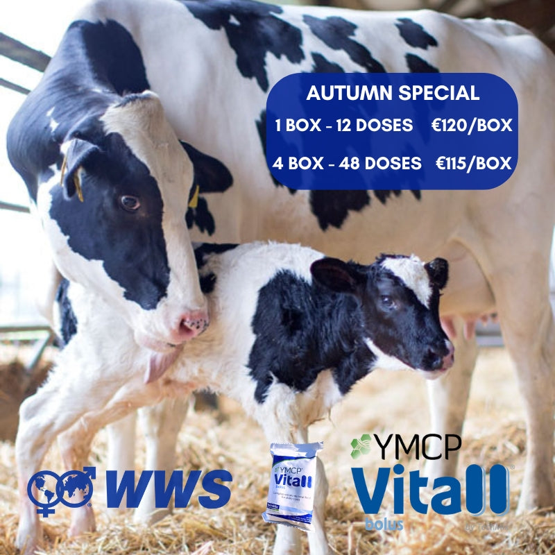 WWS Ireland – WWS Ireland